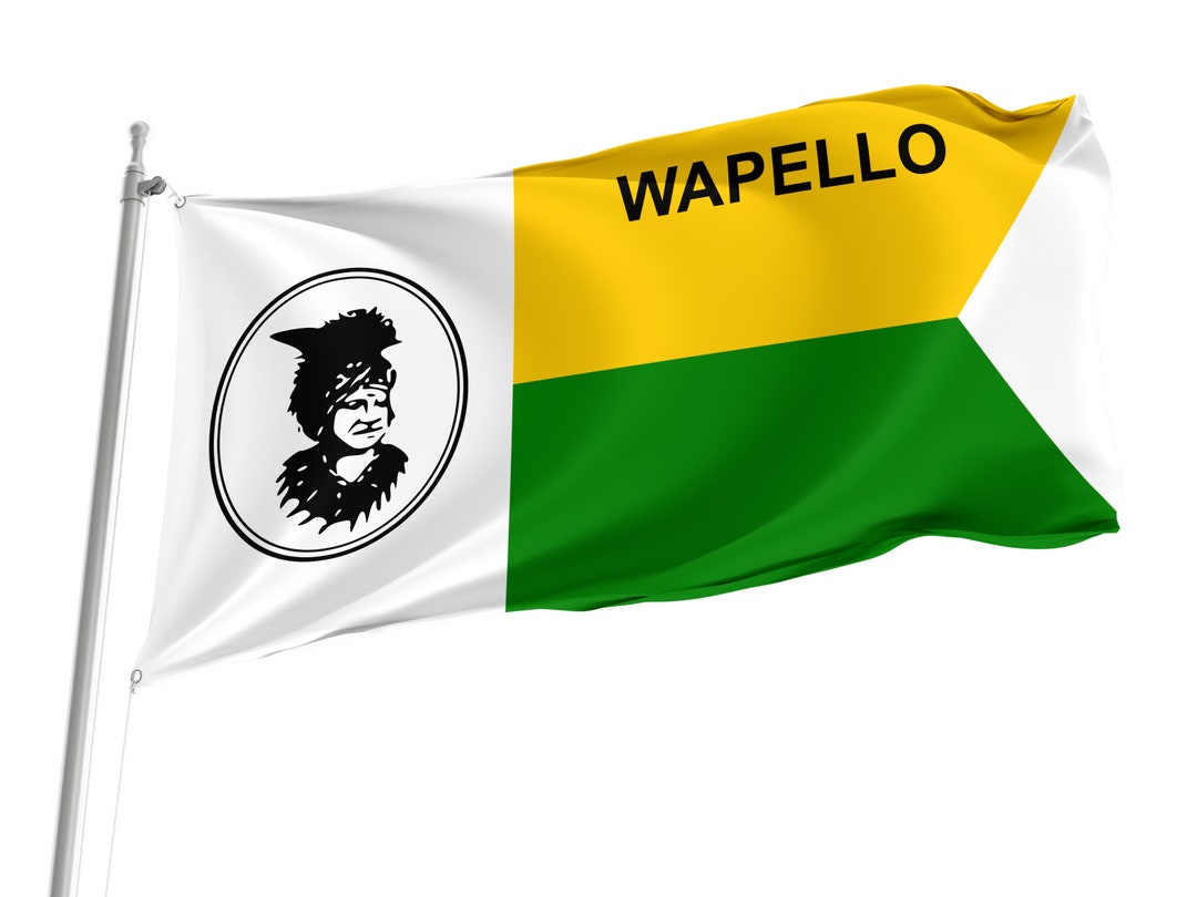 Wapello County, Iowa Flag, Unique Design Print, Double Seams, Bright ...