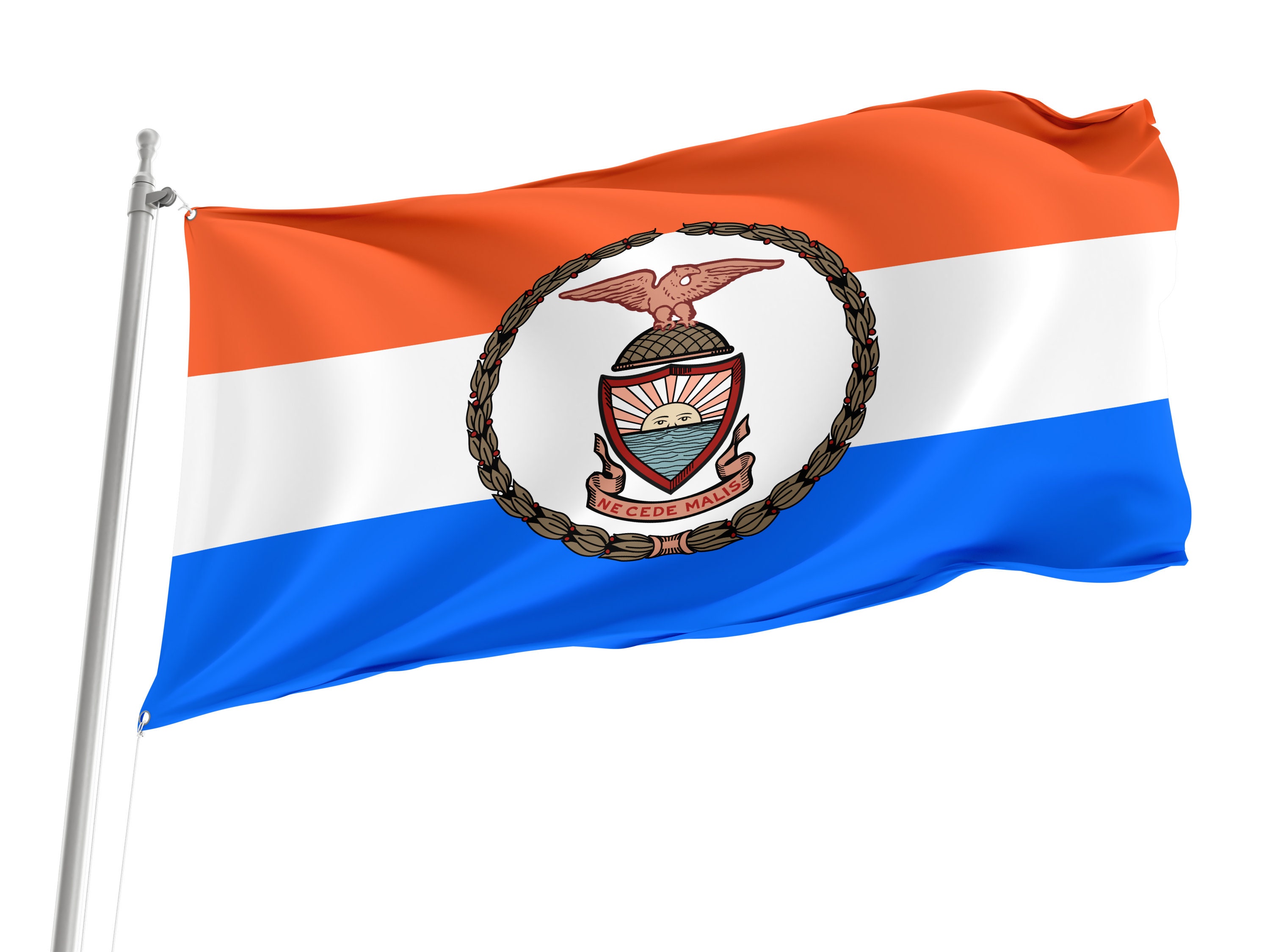 Borough of the Bronx Flag, Unique Design Print, Double Seams, Bright ...