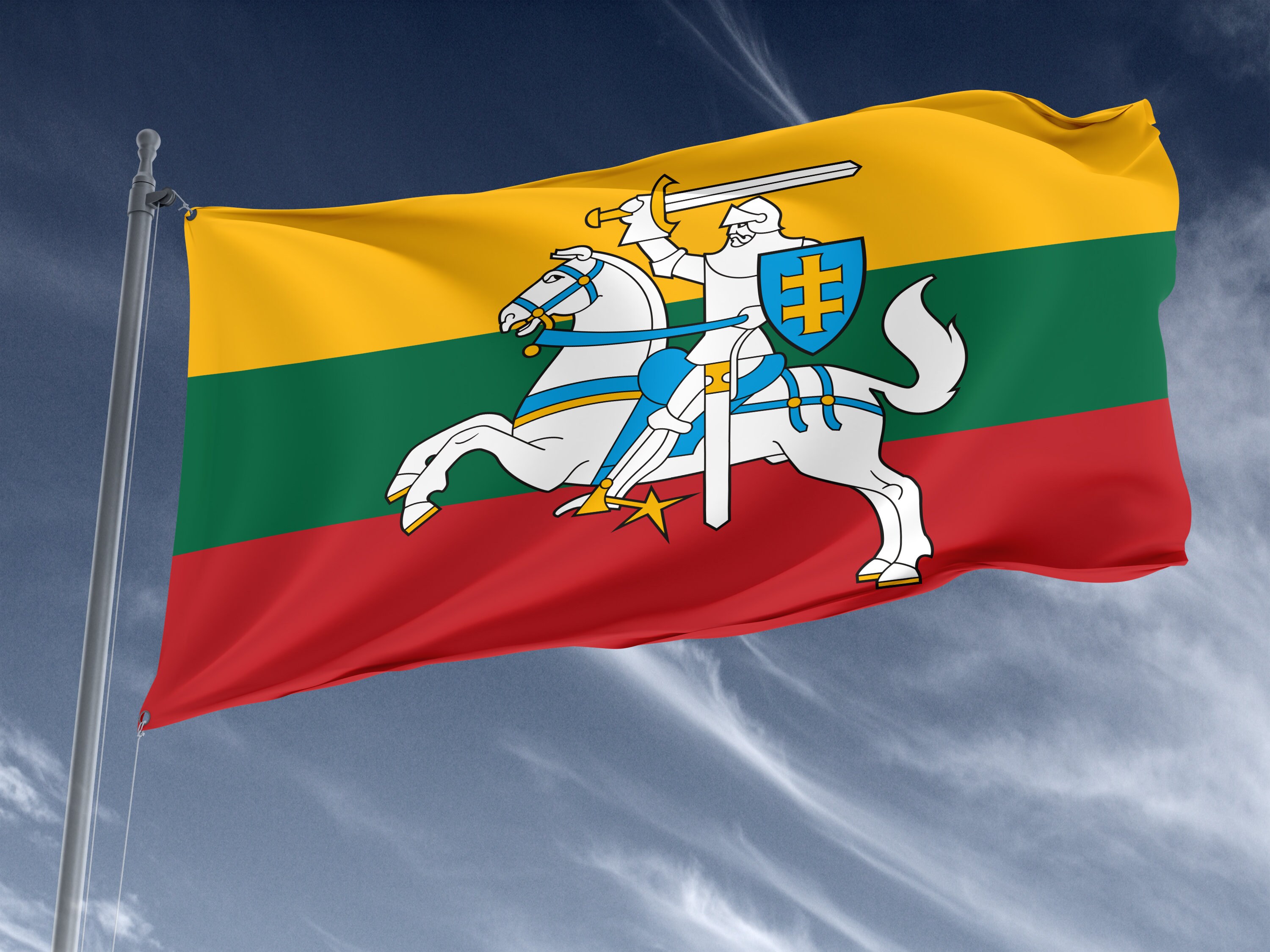 Lithuania State Flag With Brass Grommets, Unique Design Print, Double ...