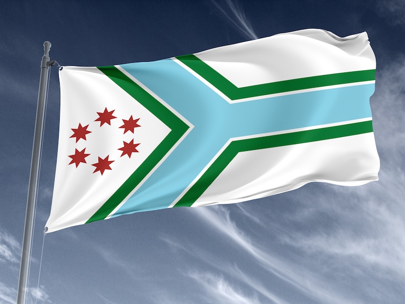 Cook County Flag, Unique Design Print, Double Seams, Bright Colours ...