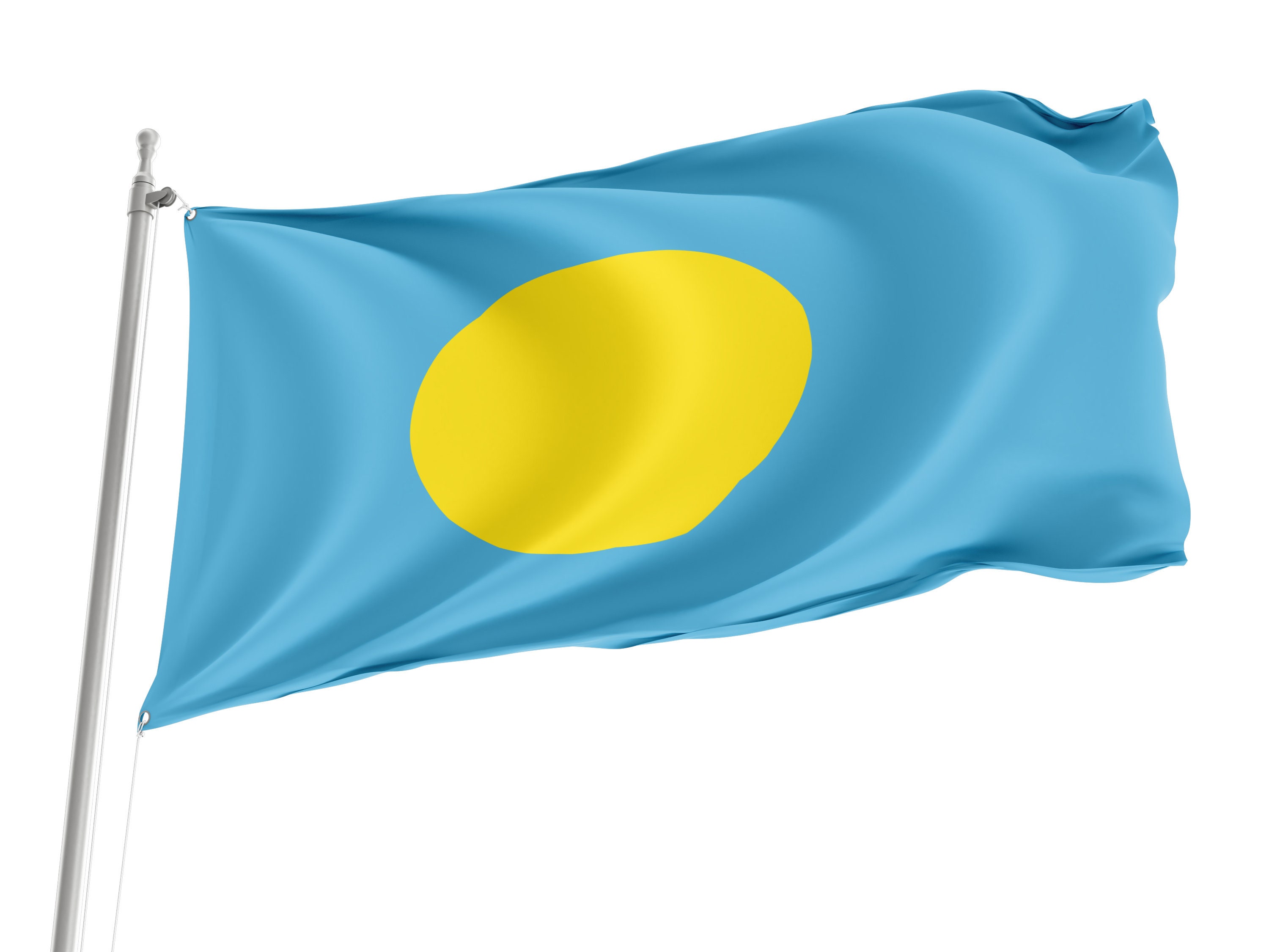 Flag of Palau Patriotic Flags Unique Design Print Flags for - Etsy