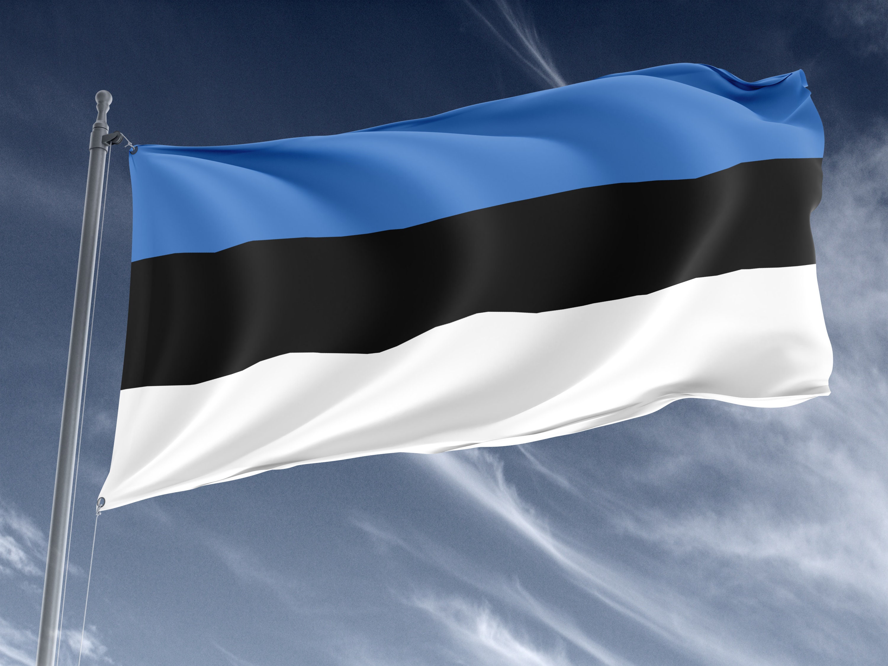Flag of Estonia Patriotic Flags Unique Design Print Flags - Etsy