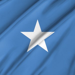 Flag of Somalia, Patriotic Flags, Unique Design Print, Flags for Indoor ...