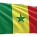 Flag of Senegal, Patriotic Flags, Unique Design Print, Flags for Indoor ...
