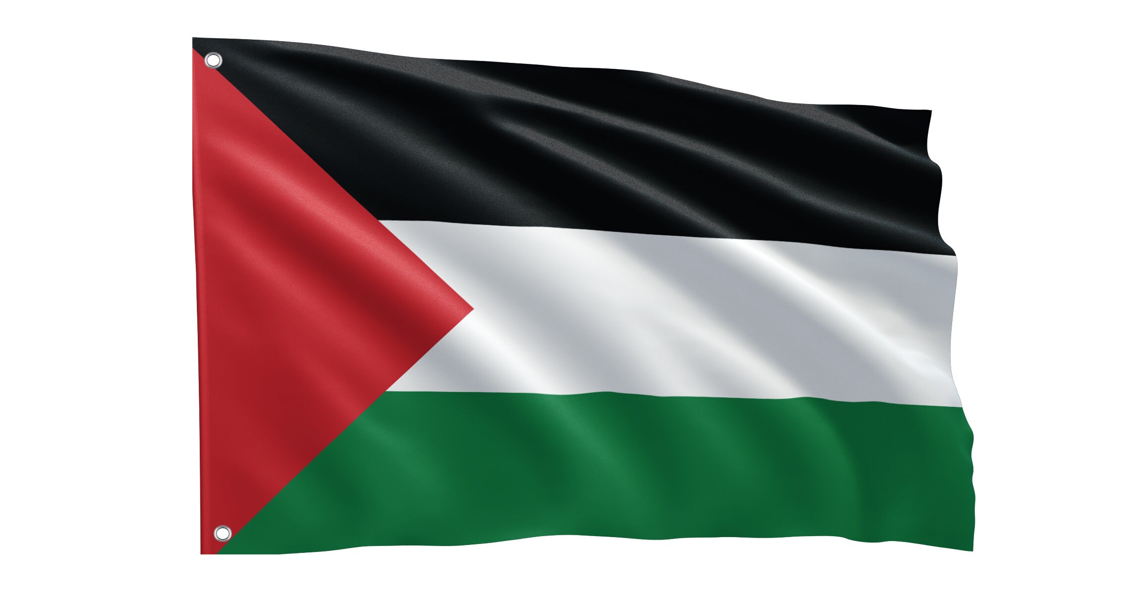 Palestine Flag: Patriotic Indoor/outdoor Decor (3x5 Ft) - Etsy