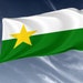Forsyth County, North Carolina Flag: Bright Colors, Reinforced Fabric ...