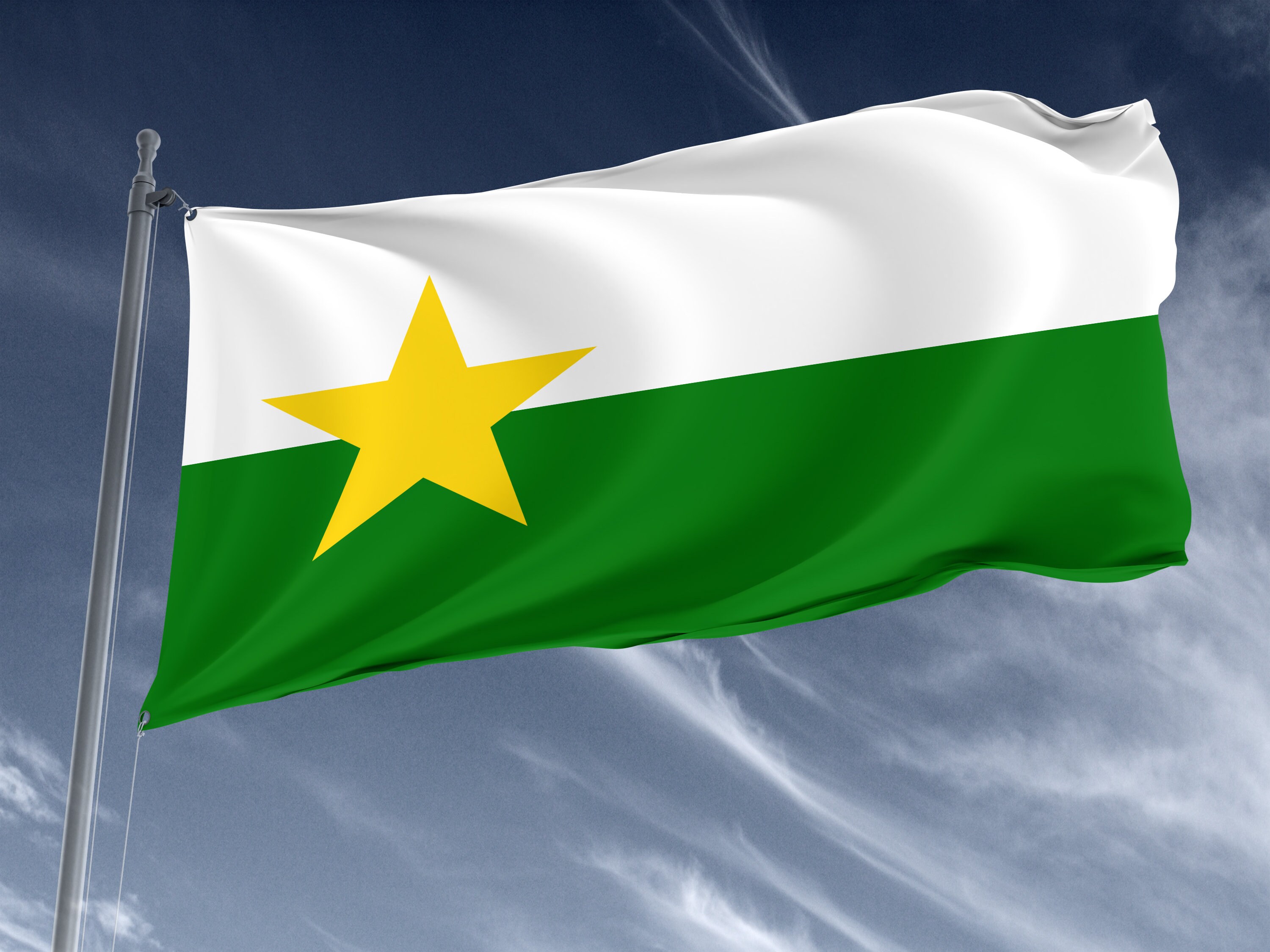 Forsyth County, North Carolina Flag: Bright Colors, Reinforced Fabric ...