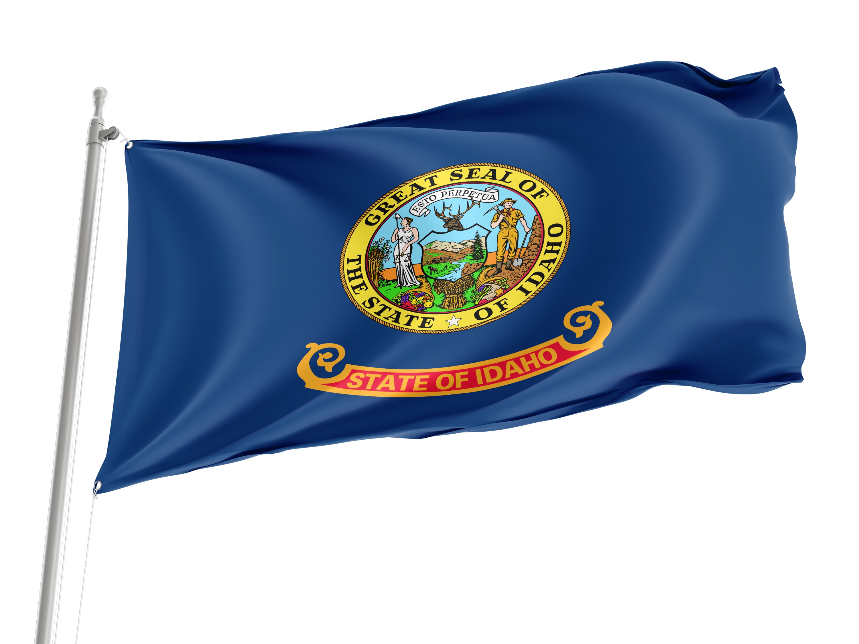 Idaho State Flag, Patriotic Flags, Unique Design Print, USA States Flag ...