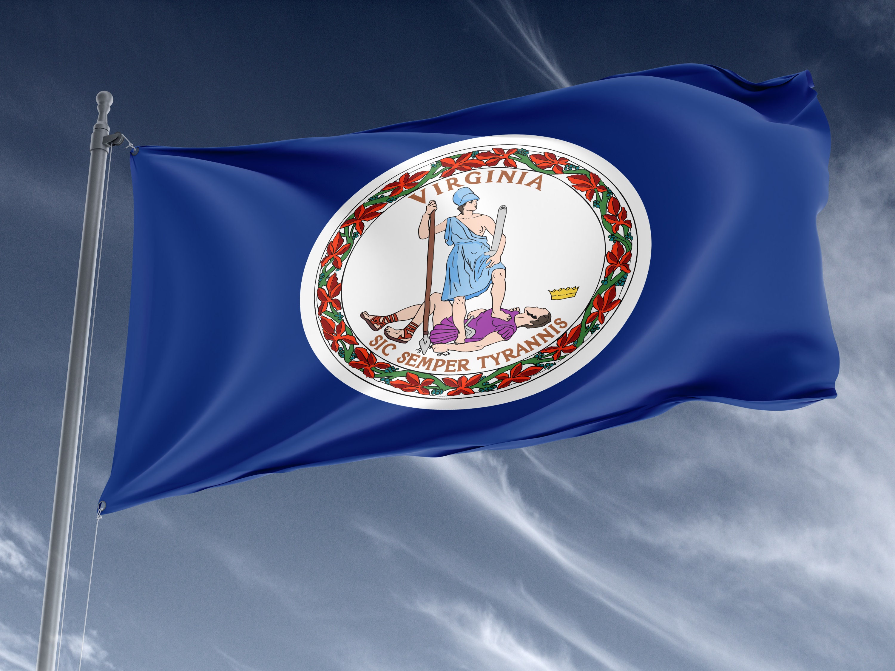 Virginia State Flag, Patriotic Flags, Unique Design Print, USA States ...