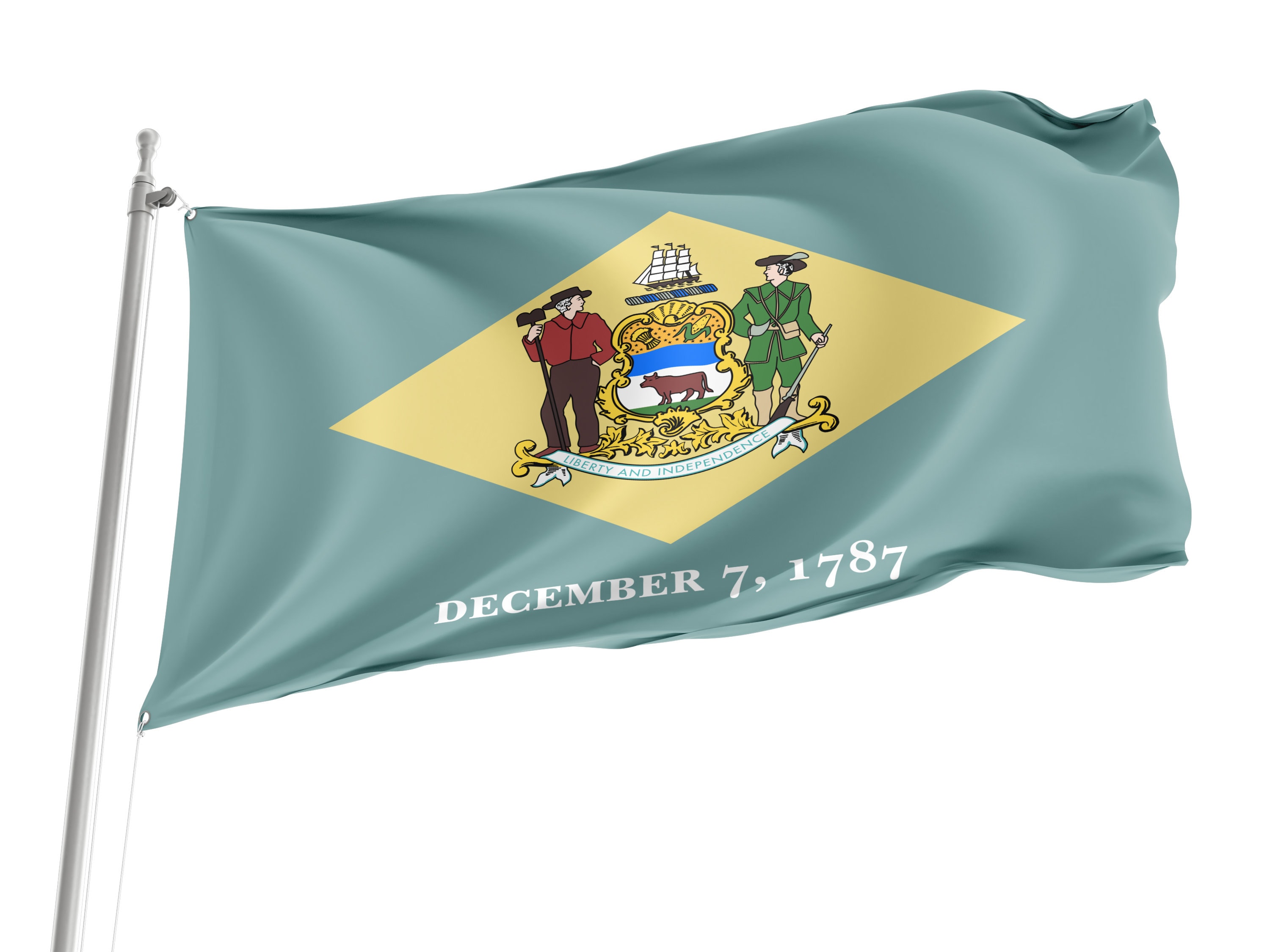 Delaware State Flag