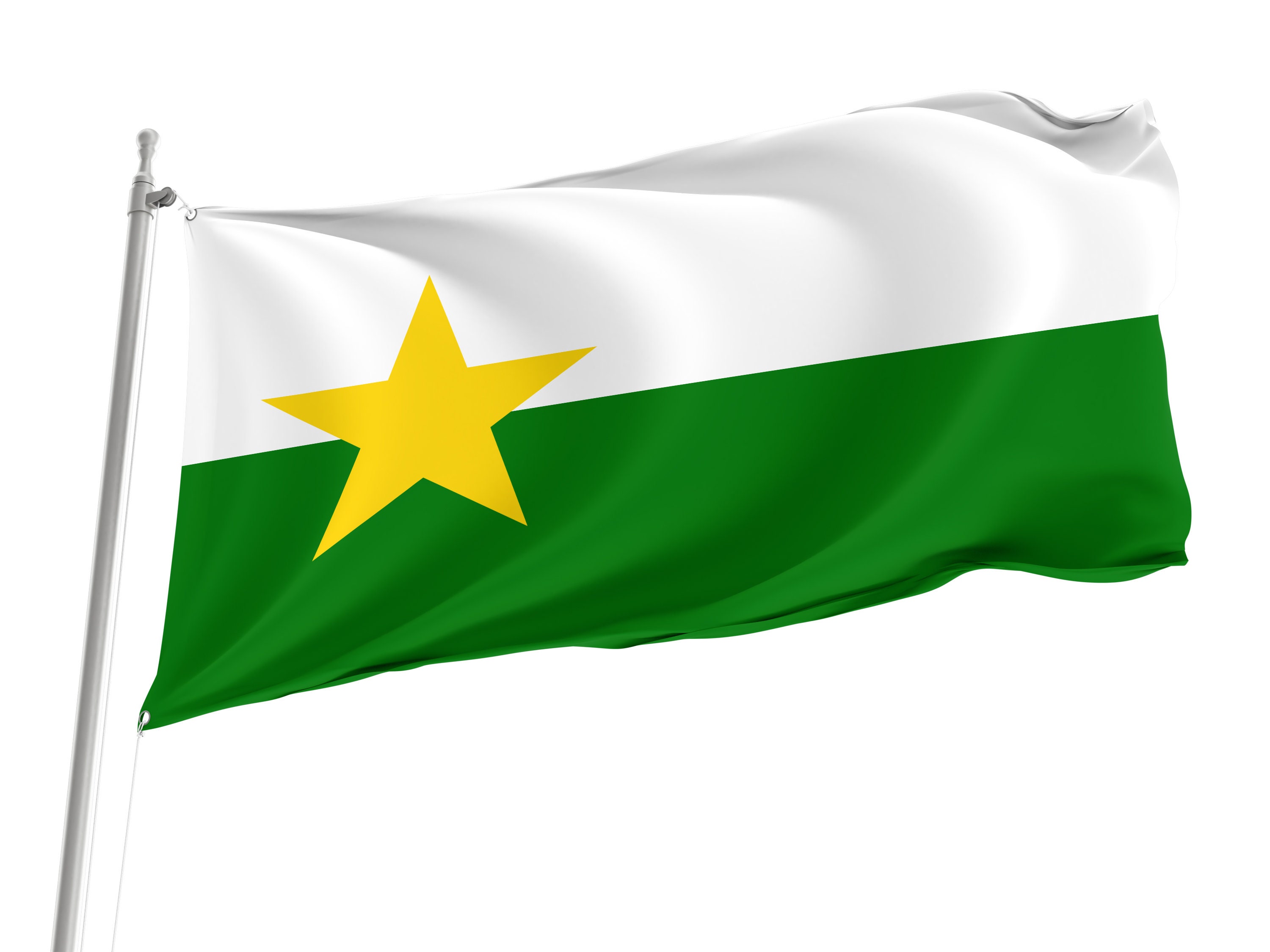 Forsyth County, North Carolina Flag: Bright Colors, Reinforced Fabric ...