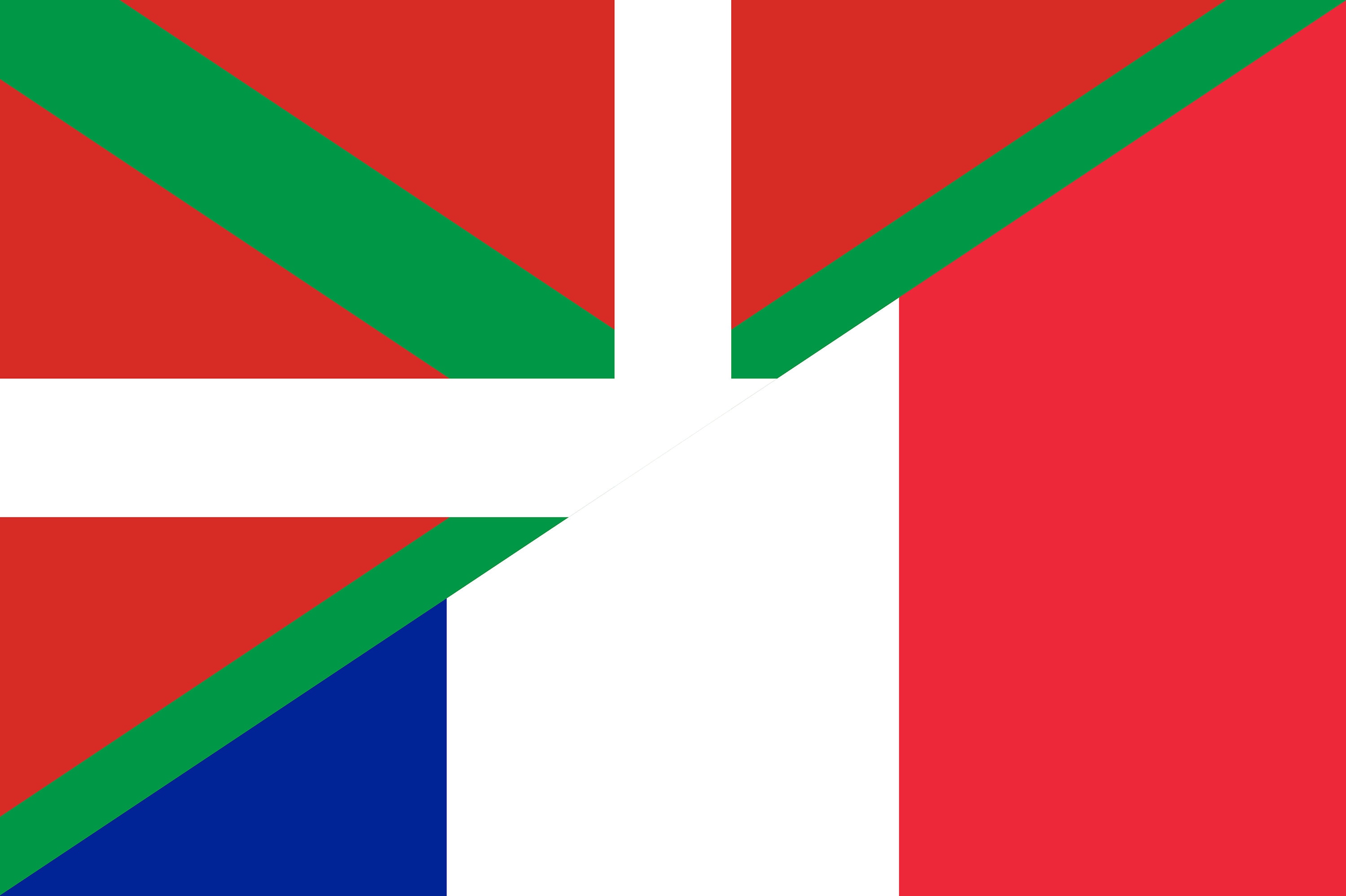 Flag of Basque Country and France With Brass Grommets, Unique Design ...