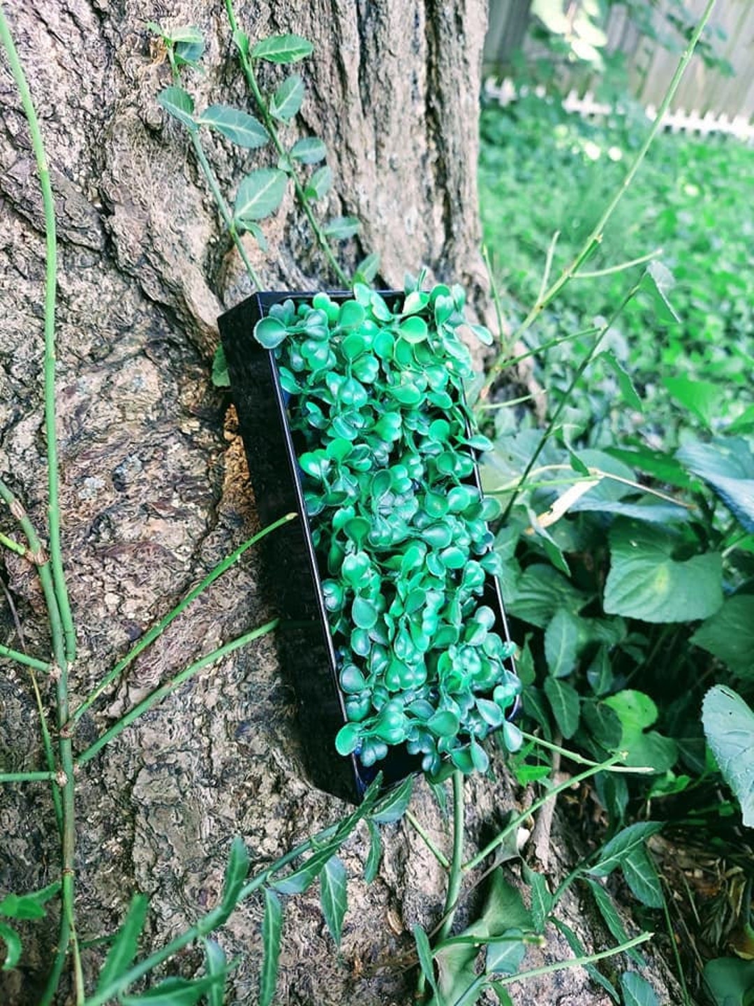 Small Grass Foraging Tray - Etsy