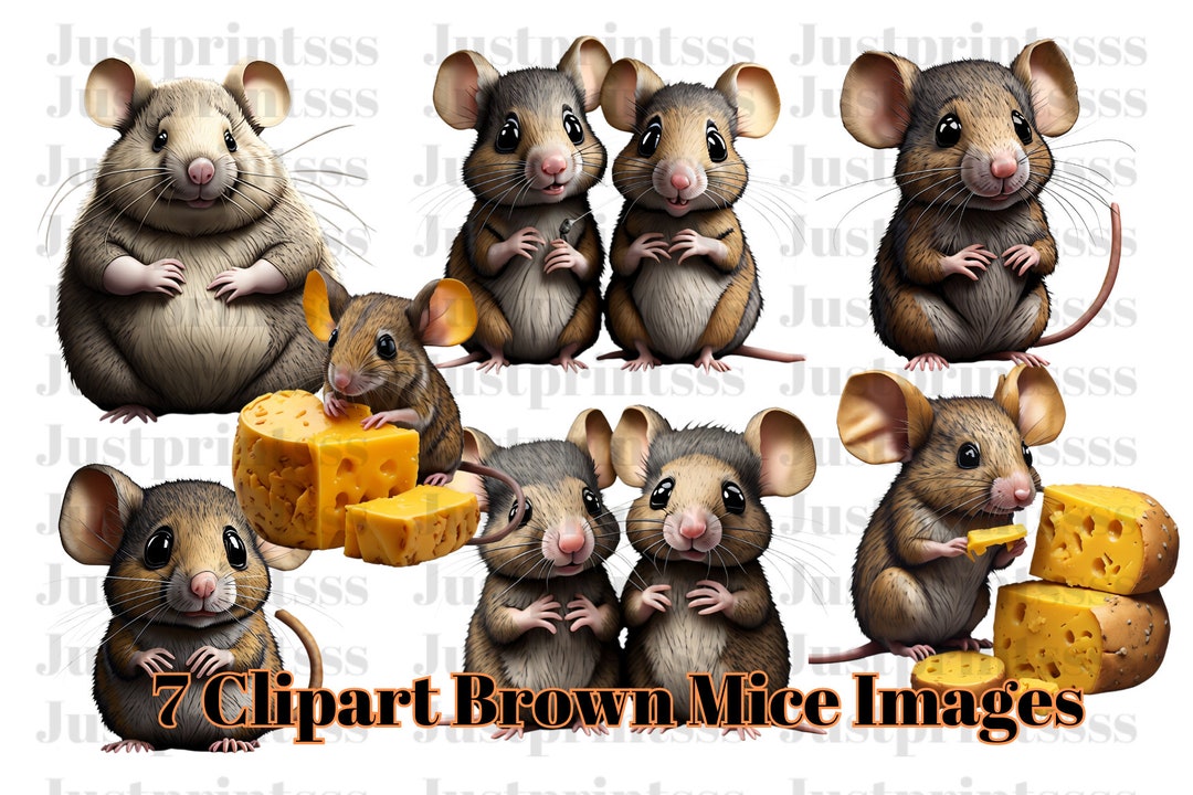 Digital Print PNG Clipart Mice Printing, Web Design, Crafting ...