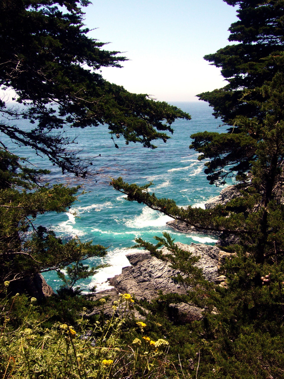 Big Sur CA Coast Between Trees Photography Digital Download - Etsy