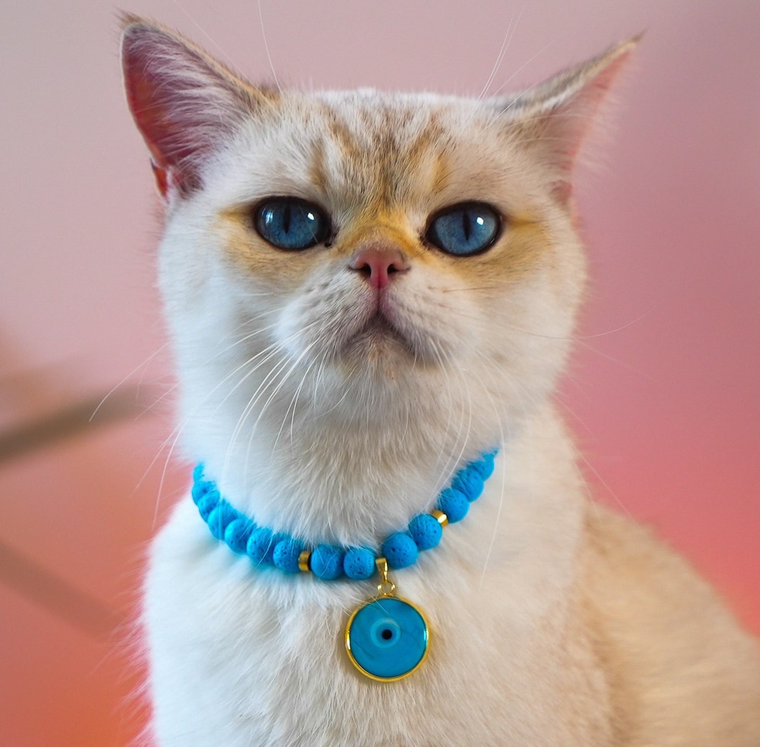 Evil Eye Cats Dogs Necklace , Turkish Evil Eye Cats Dogs Collar ...