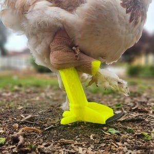 Medium Bird and Chicken Prosthetic Leg. - Etsy