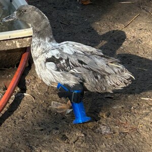 Duck Feet Soft Prosthetic - Etsy