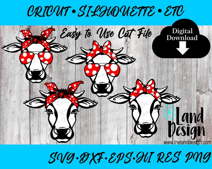 Cow Heifer With Polkadot Bow Hair Tie, Cow With Bandana, Livestock on ...