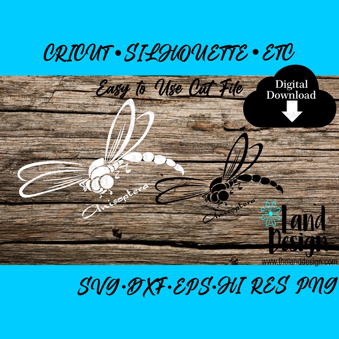 Dragonfly Svg, Insect, Bug, Clipart, Vector, Outline, Anisoptera ...