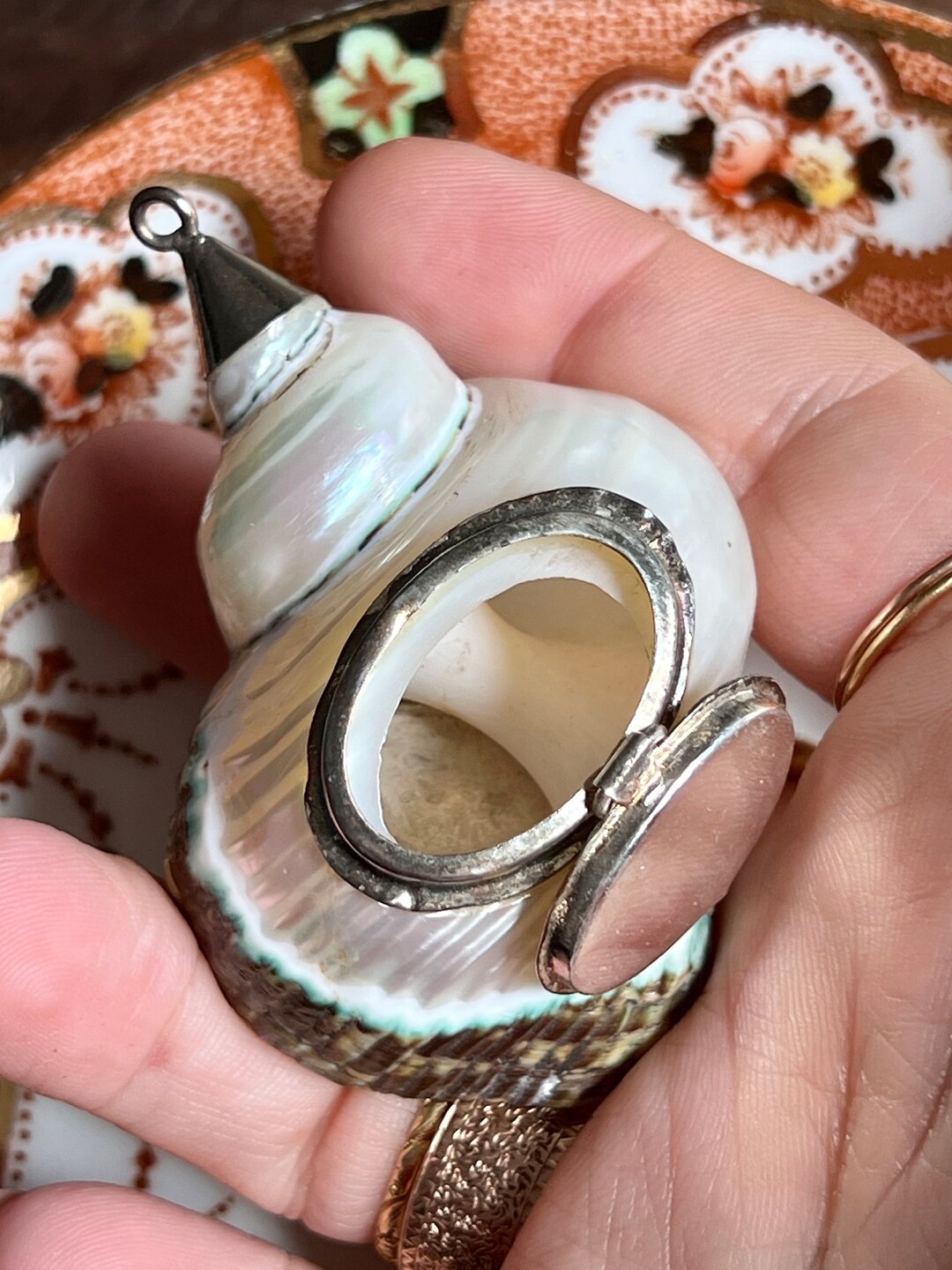 Antique Victorian Seashell Snuff Box, Shell Locket Pendant - Etsy