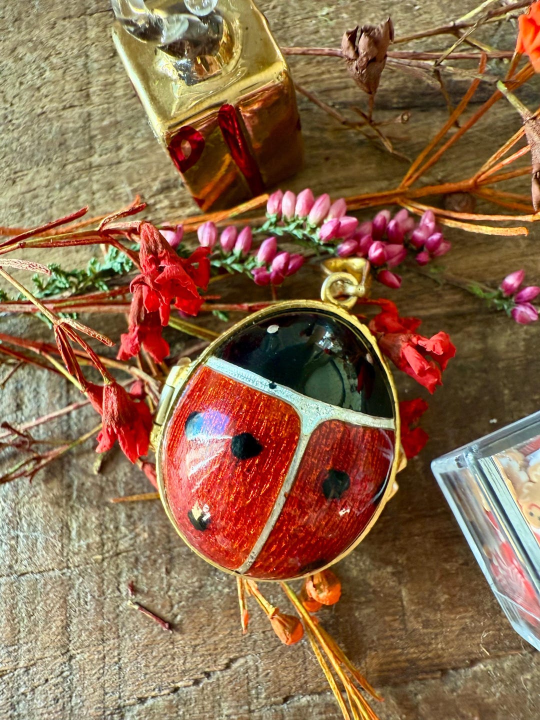 Vintage Ladybug Locket, Ladybug Pendant - Etsy