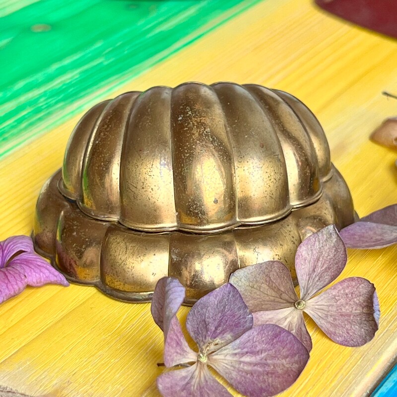 Shell Box - Etsy