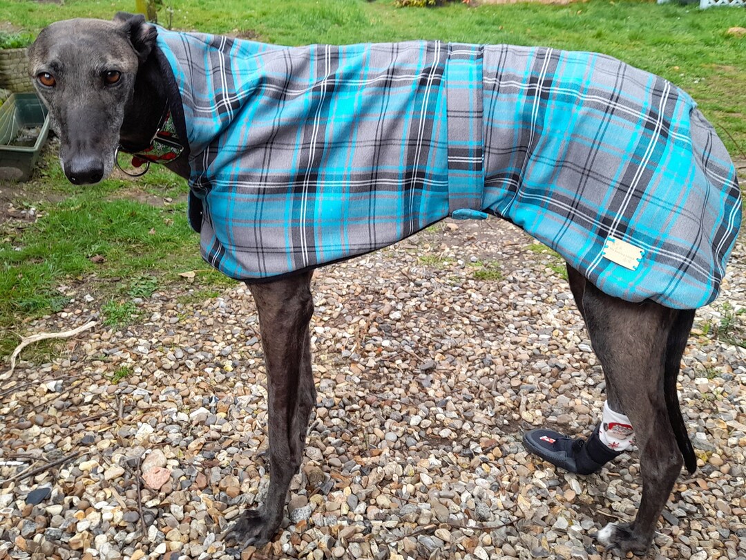 Fleece Lined Greyhound Coat Made to Order. Whippet Coat. Saluki Coat ...