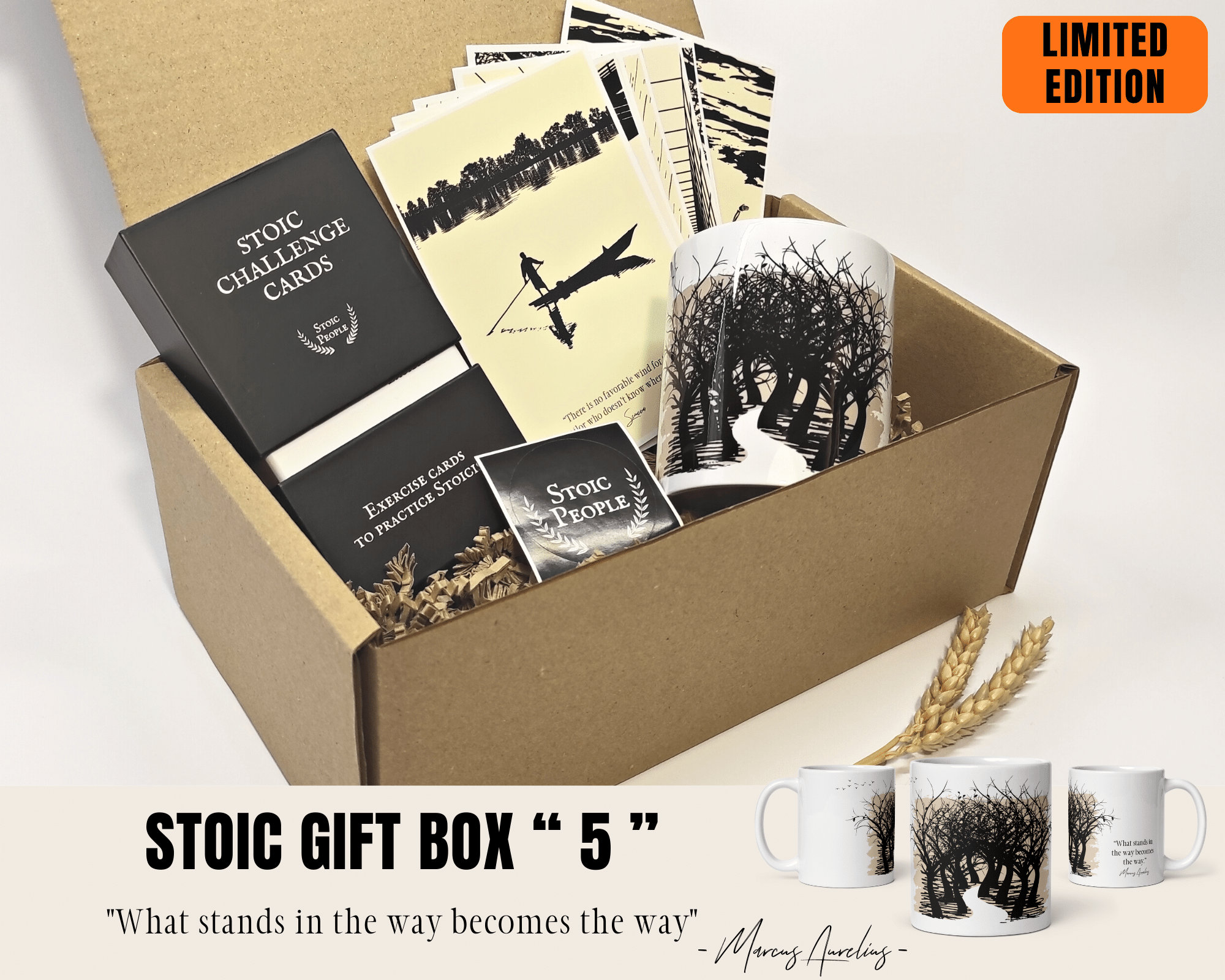 Stoic Gift Box for Couple: Philosophy Mugs & Exercise Cards - Etsy