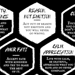 Stoicism Reflections, Main Stoic Features for Ideal Stoics, Stoic ...