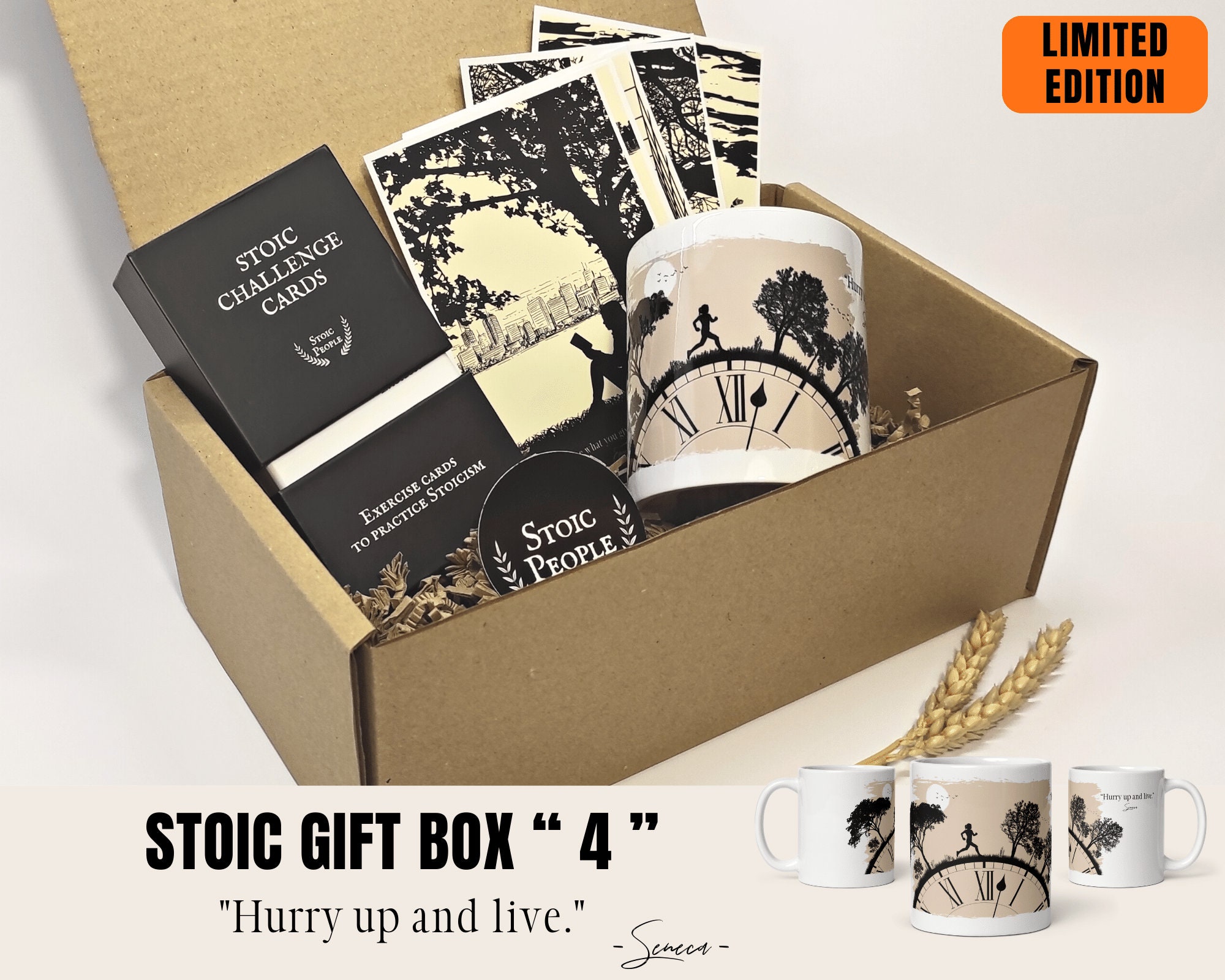 Stoic Gift Box for Couple: Philosophy Mugs & Exercise Cards - Etsy