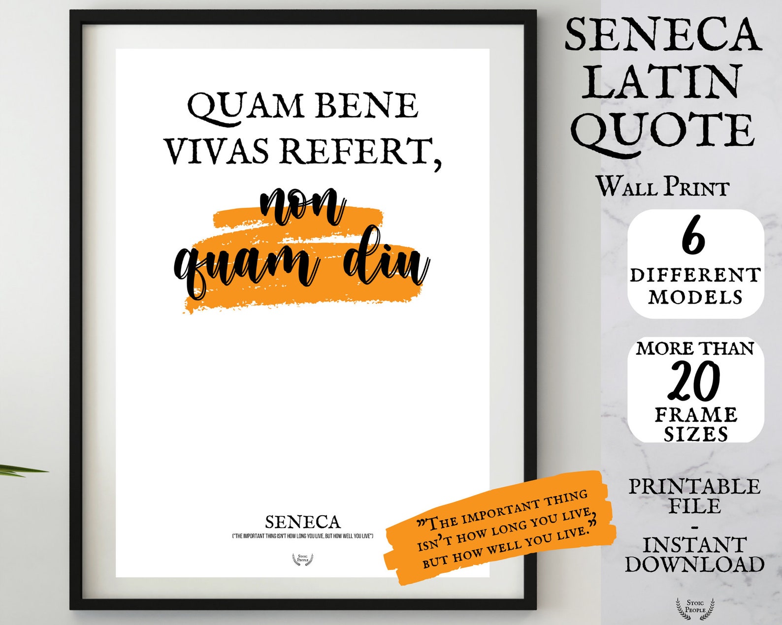 Poster Latin Quote Wall Decor Latin Phrase Wall Art Latin | Etsy