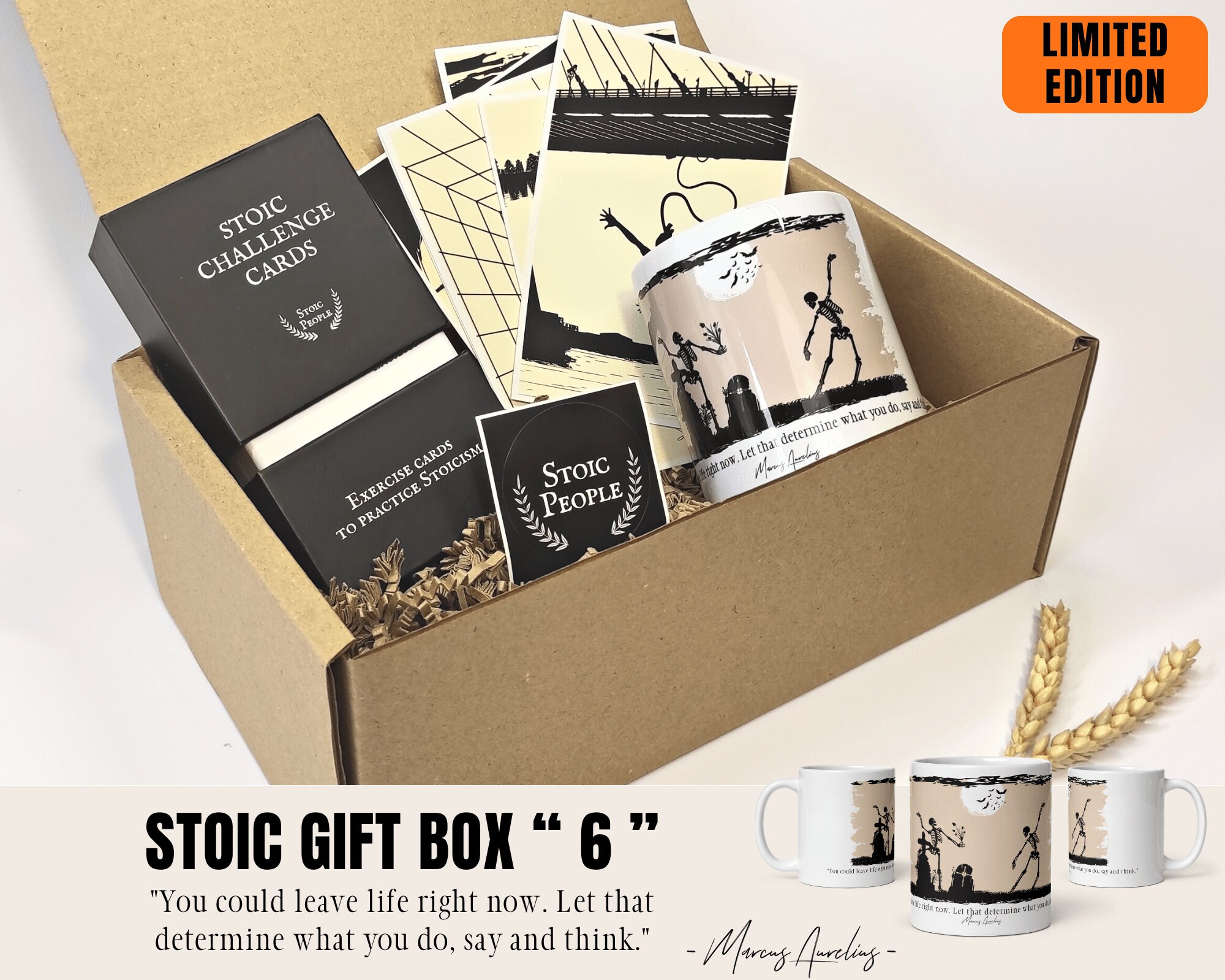 Stoic Gift Box for Couple: Philosophy Mugs & Exercise Cards - Etsy