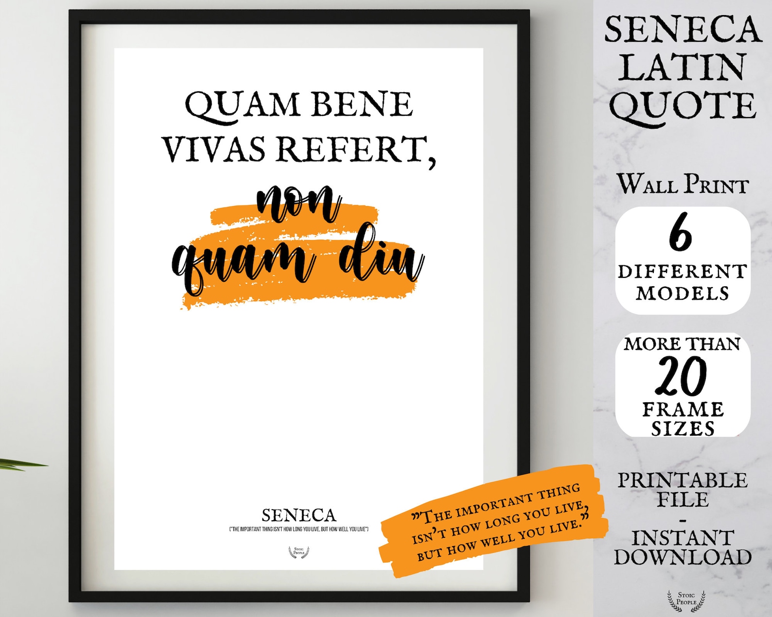 Poster Latin Quote Wall Decor Latin Phrase Wall Art Latin | Etsy