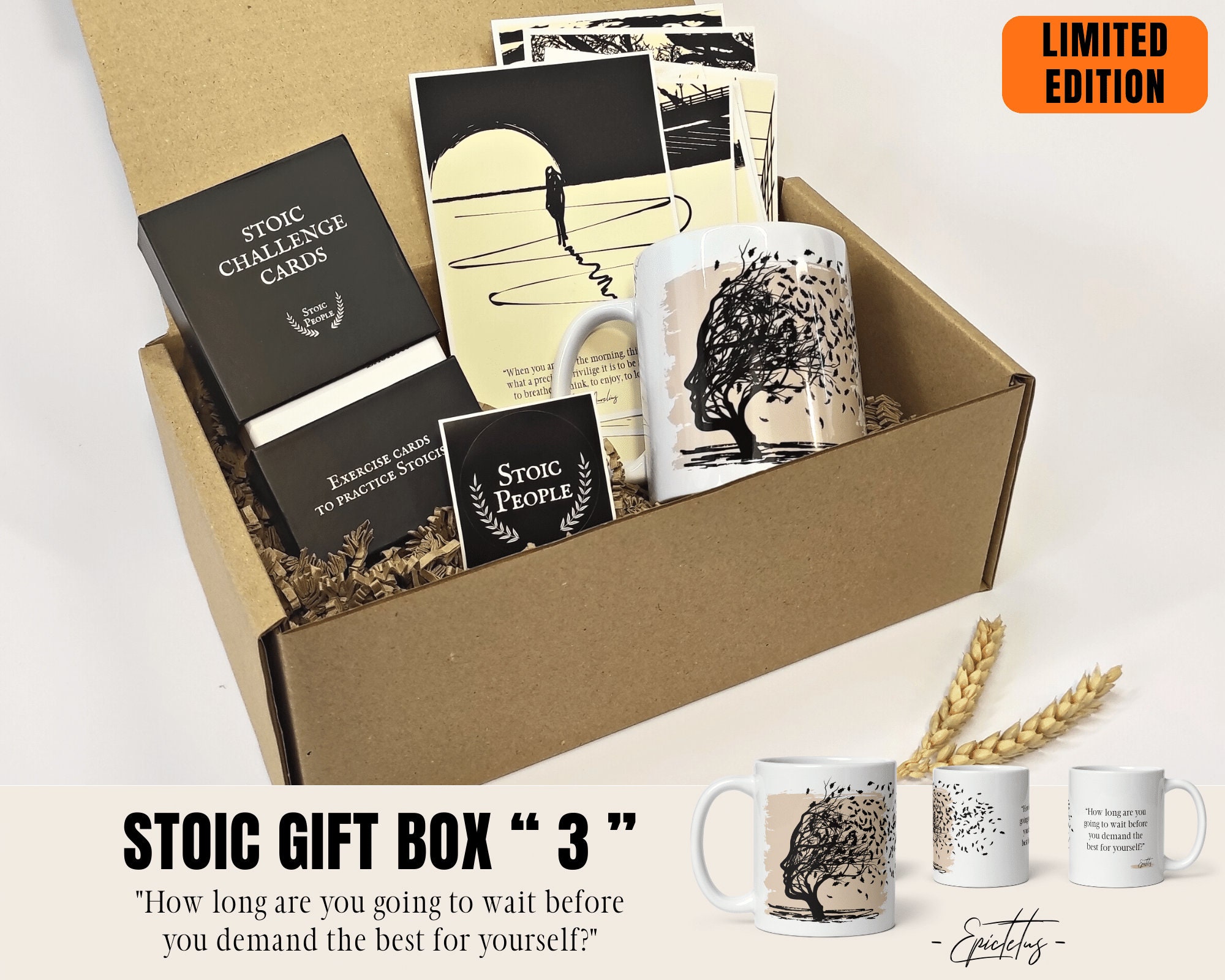 Stoic Gift Box for Couple: Philosophy Mugs & Exercise Cards - Etsy