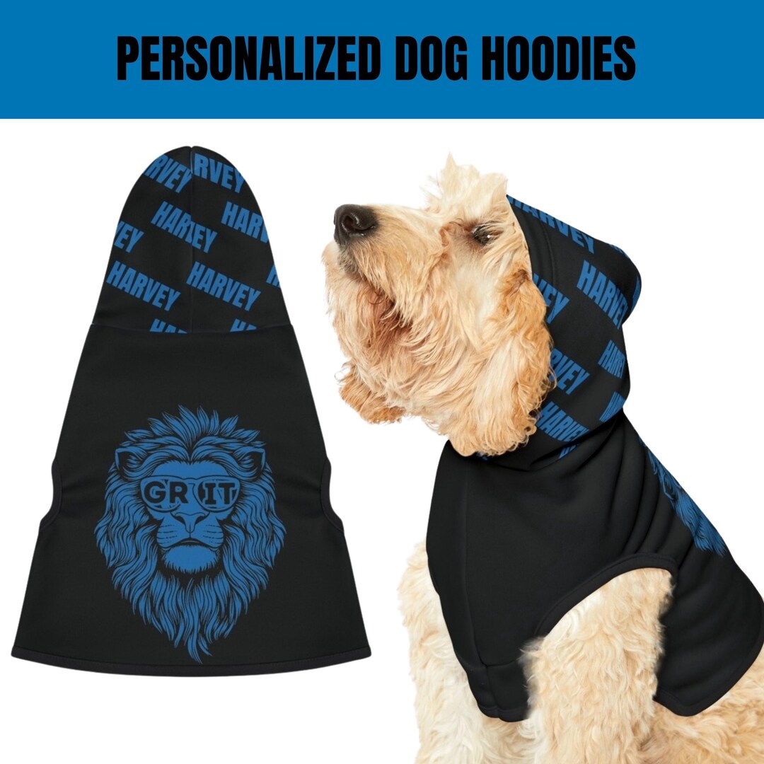 Personalized Detroit Football Pet Hoodie, Customized Dog Outfit, Custom ...