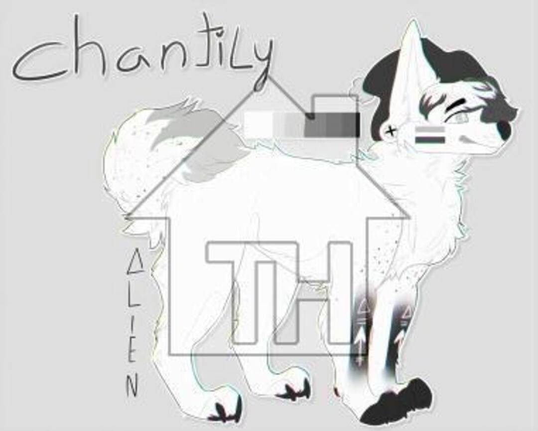 Furry Fursona Popular Designer Adopt 15 Art Pieces Character for Sale ...