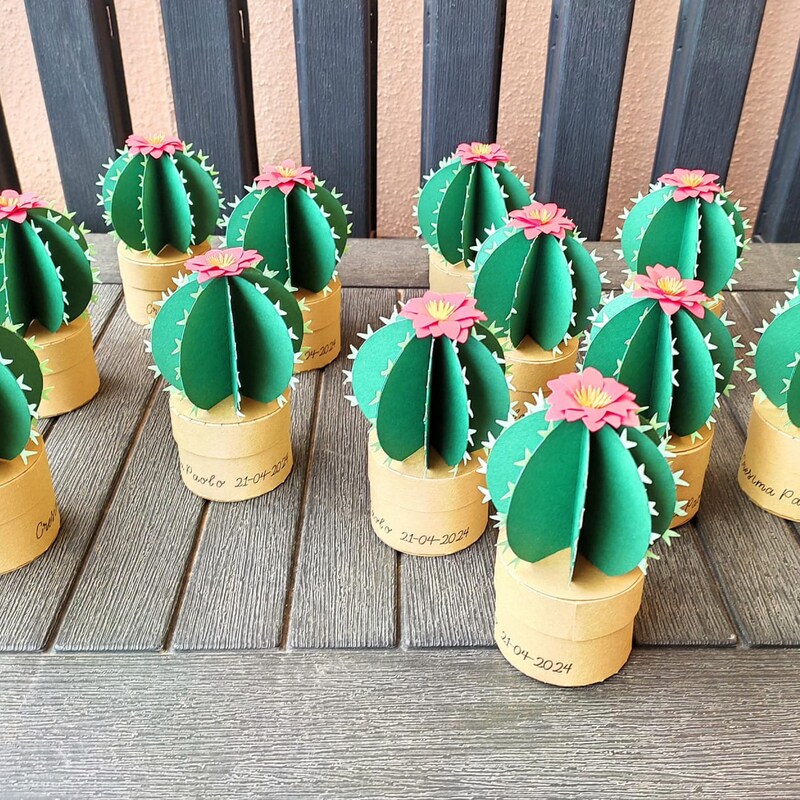 Cactus Wedding Favor - Etsy