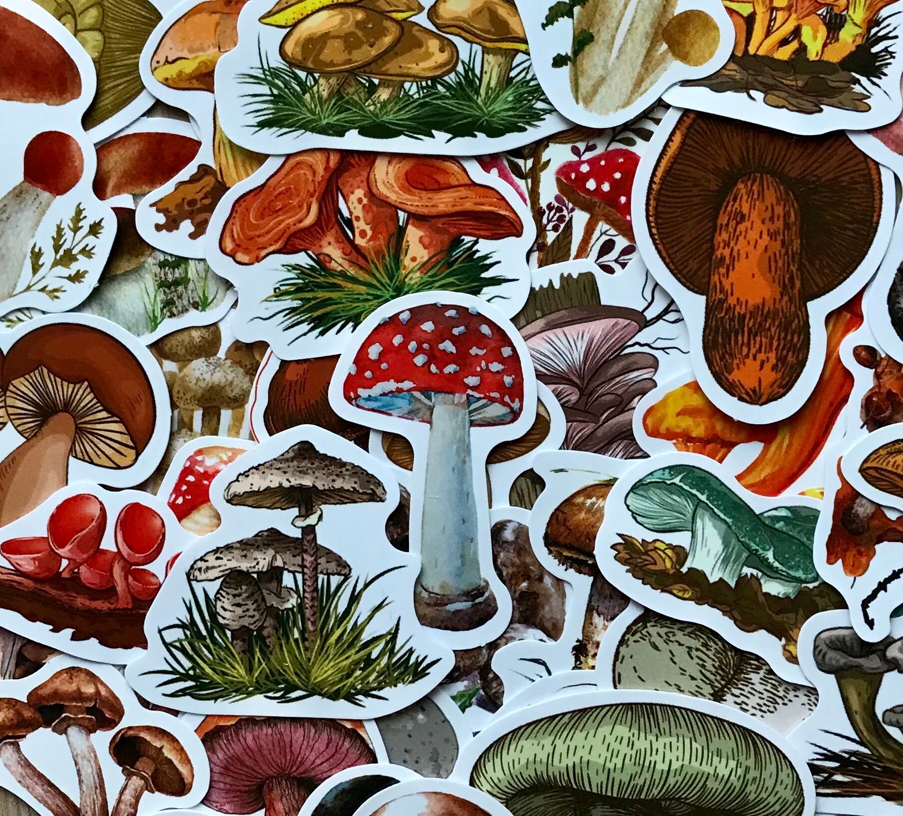 Cute Mushroom Stickers 10pcs - Etsy Canada