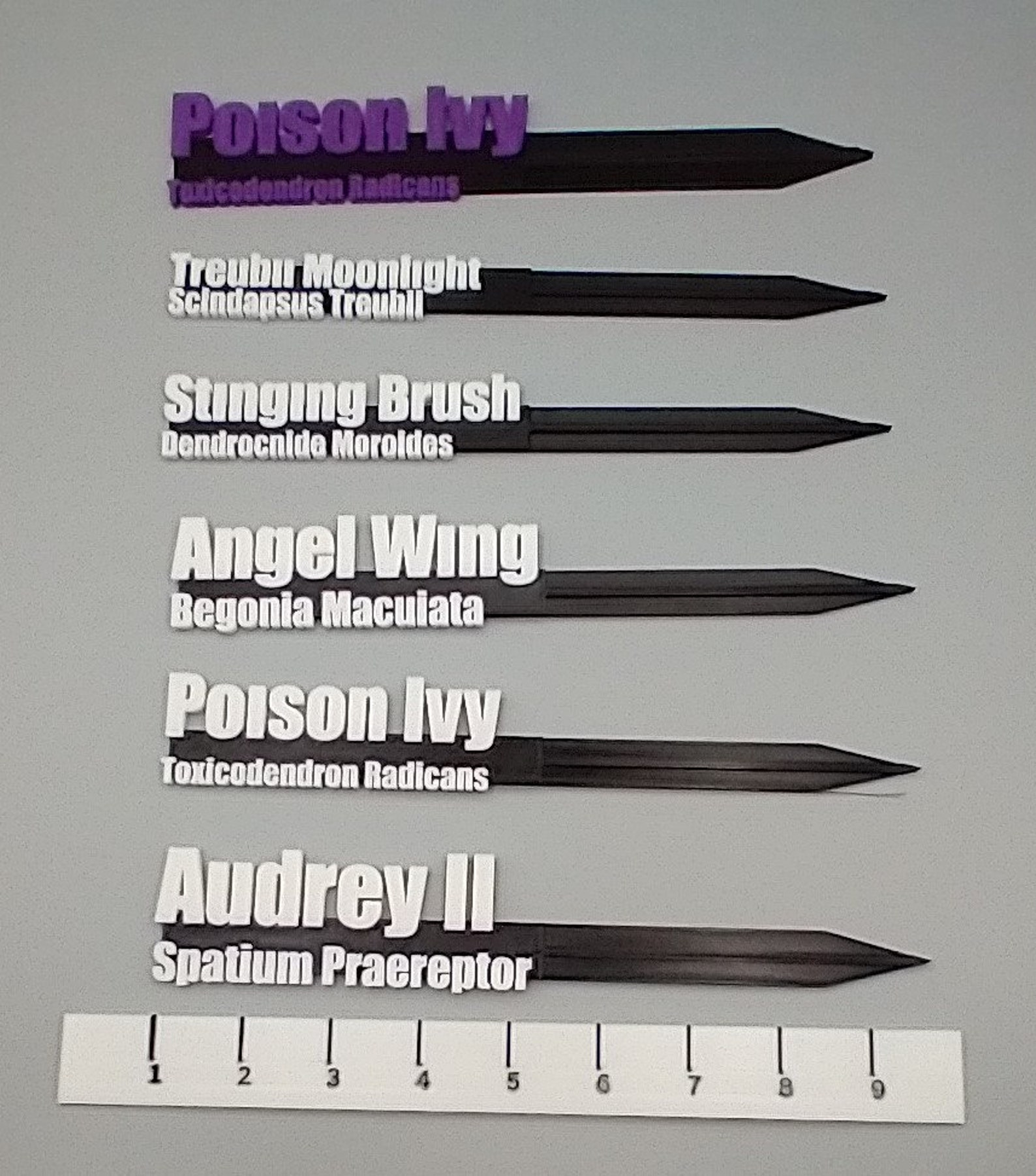 Plant Name Stakes - Two Line - Etsy