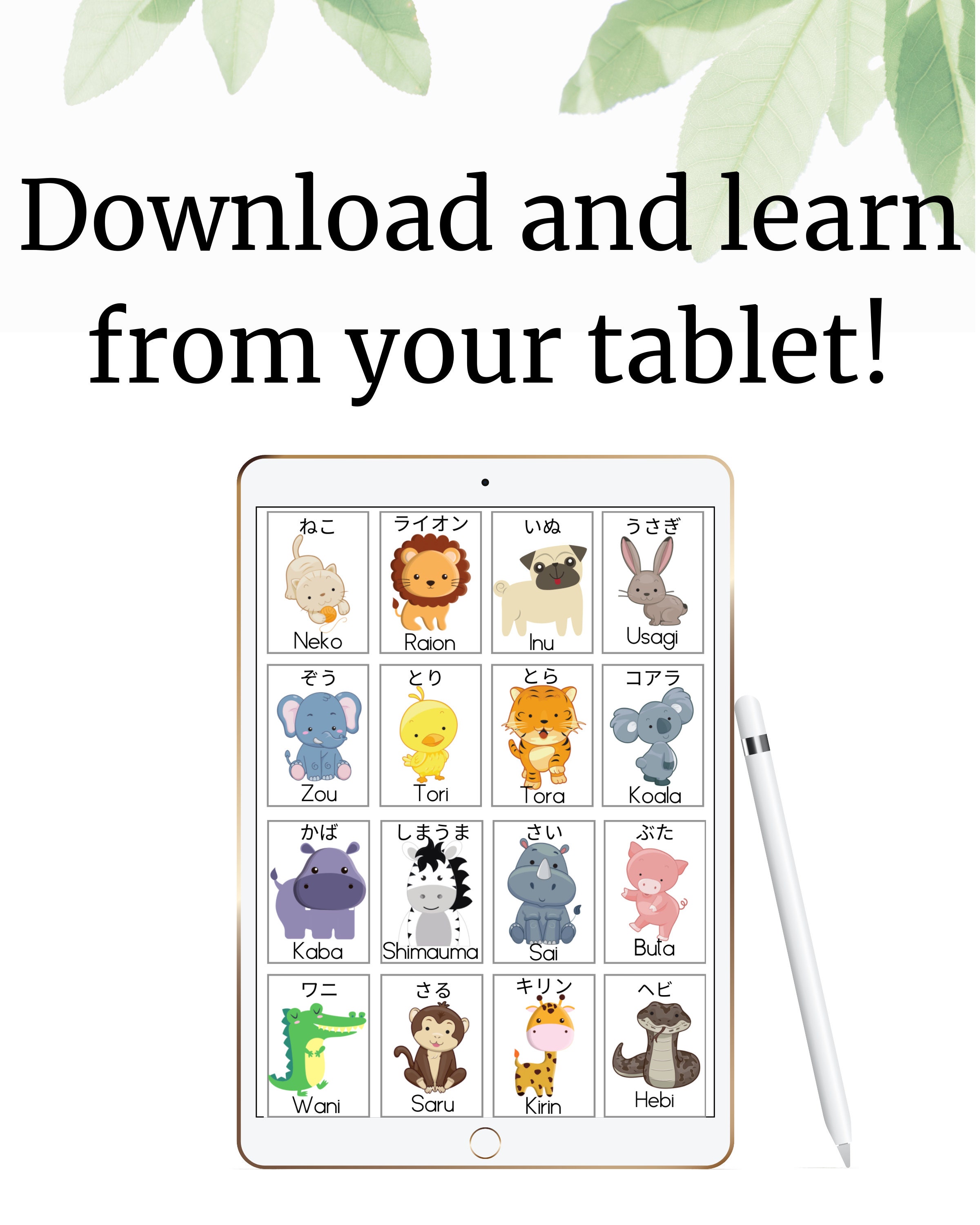 Learn Animals in Japanese 24 Flashcards Hiragana, Katakana and Romaji ...