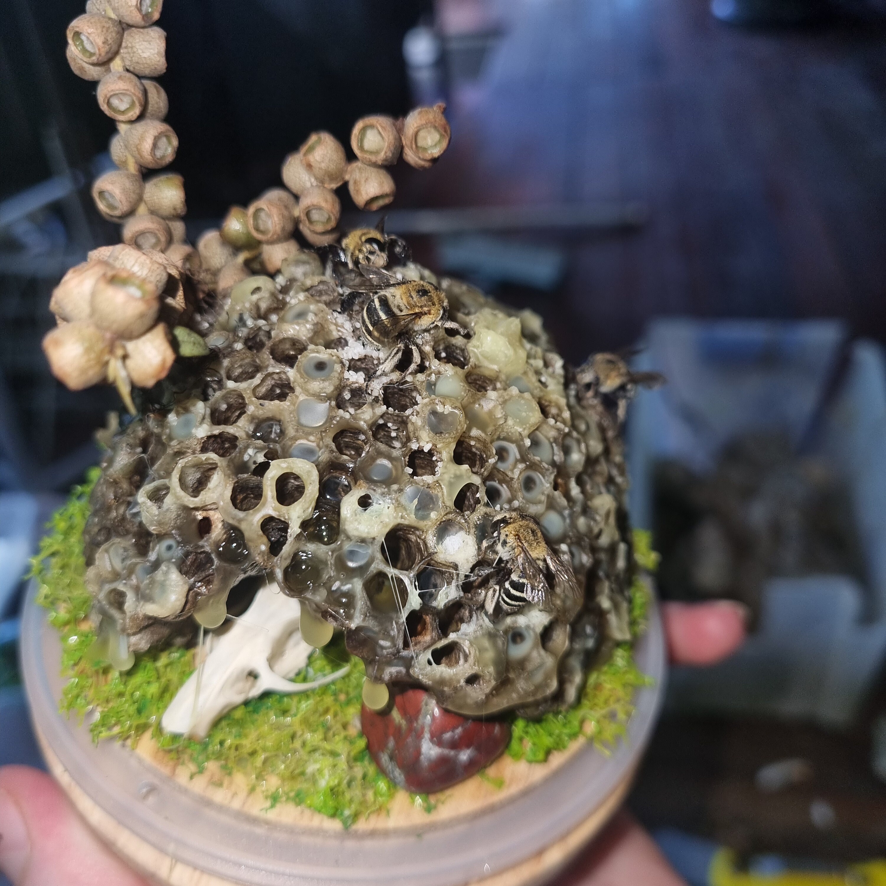 Blue Bandit Bees - Etsy