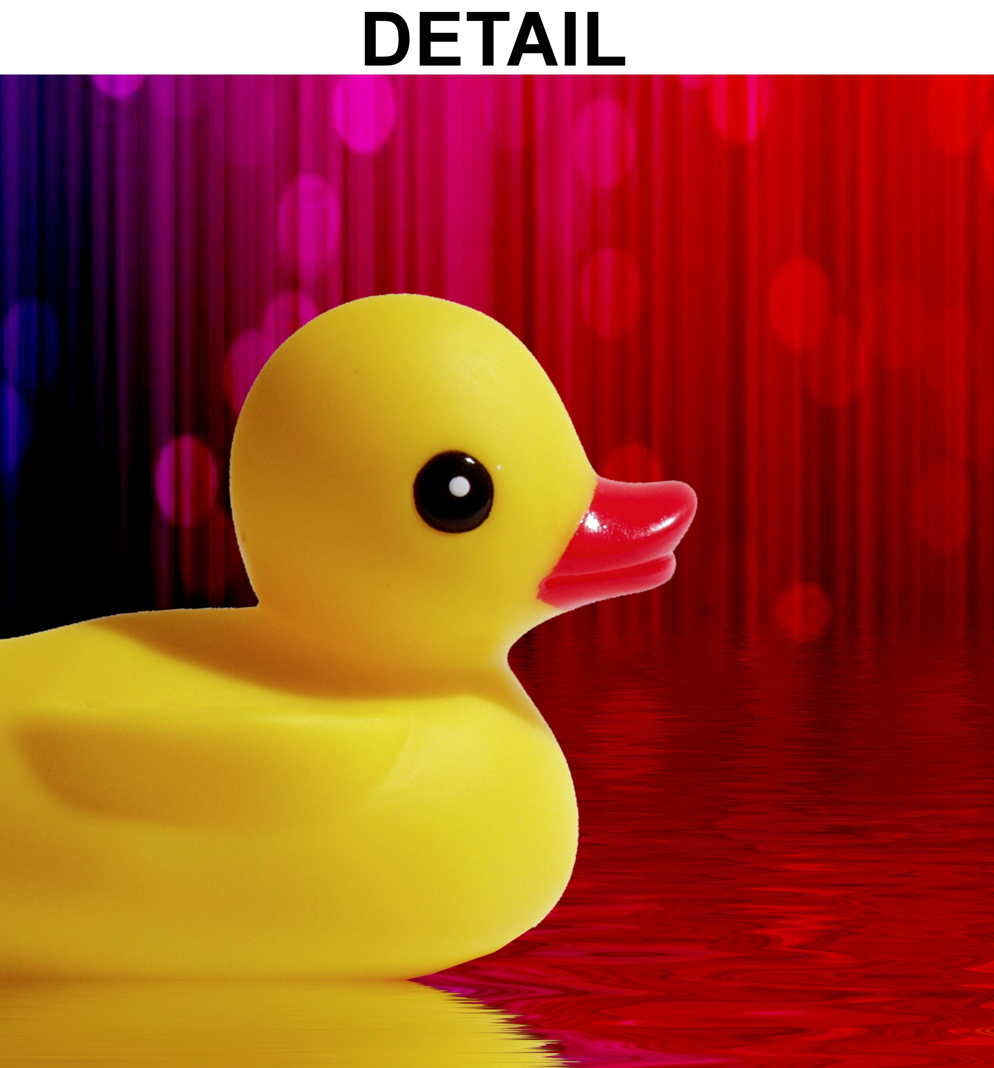 Rubber Duckie Photograph, Colorful Digital Art, Art for Your Kids Room ...