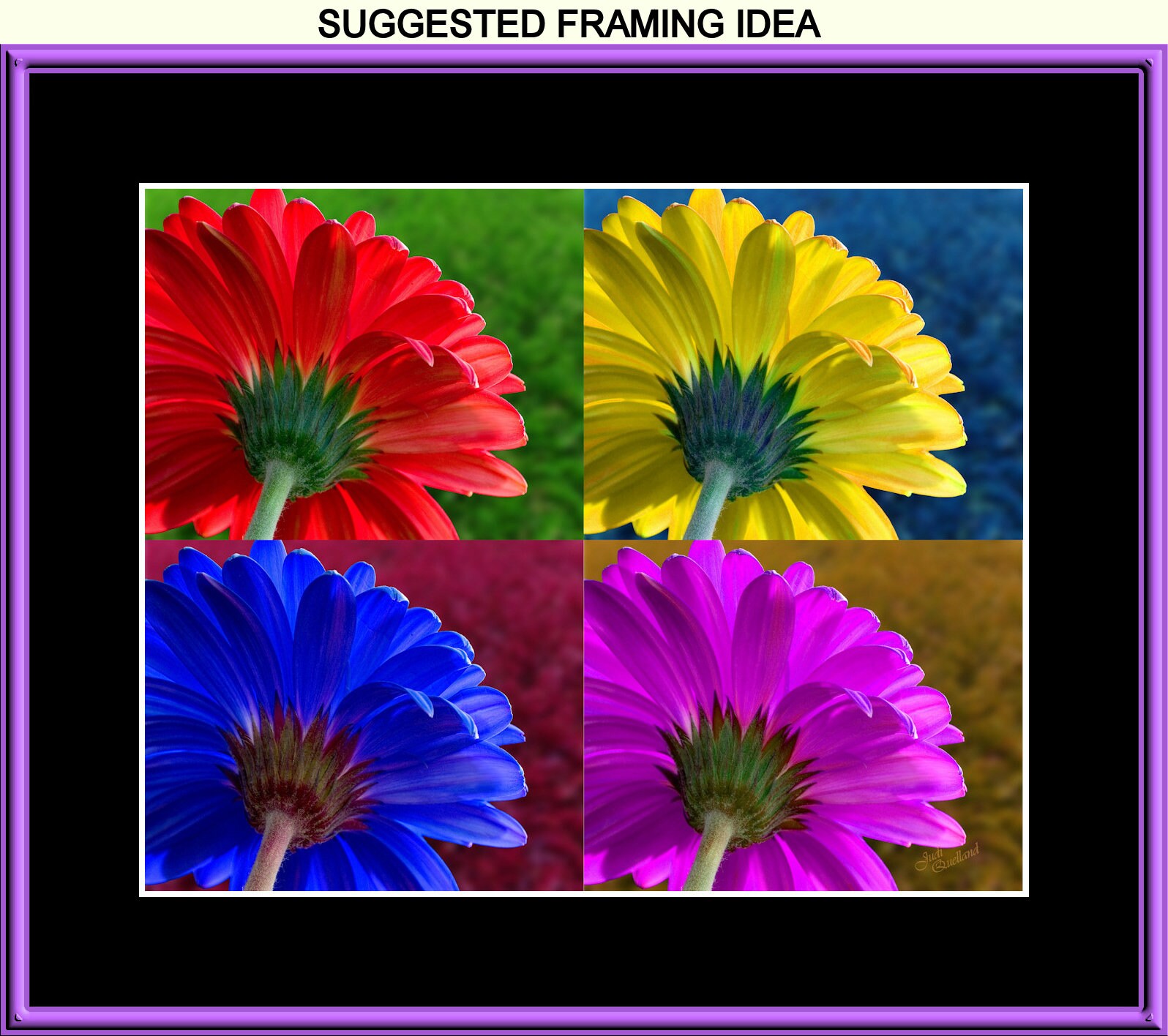 Daisy Pop Art Image, Eye-popping Colors, 4 Daisies, 4 Color Combos ...