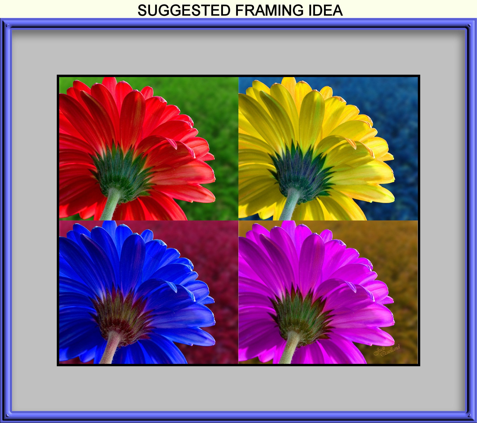 Daisy Pop Art Image, Eye-popping Colors, 4 Daisies, 4 Color Combos ...