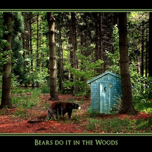 Bear and Outhouse in the Woods Photo, Instant Download, Grizzly Bear ...
