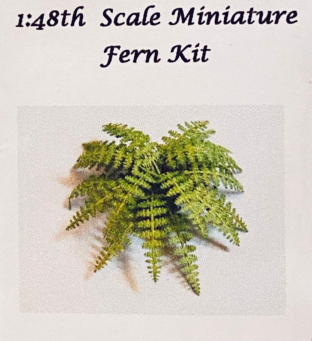 1:48th Scale Miniature Fern Kit - Etsy