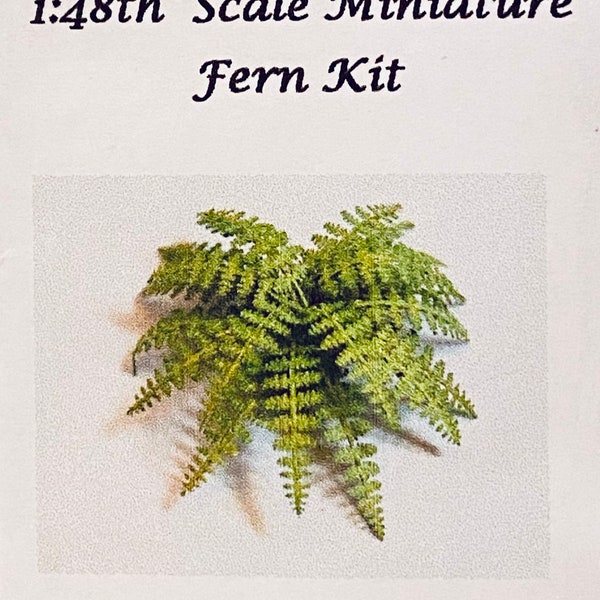 Miniature Fern - Etsy