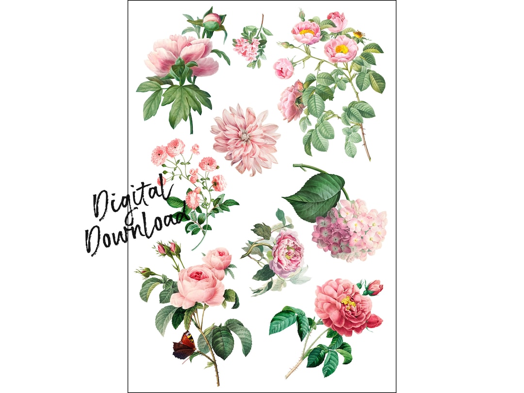 Pink Flowers Digital Download, Pink Flowers Instant Download, Pink ...
