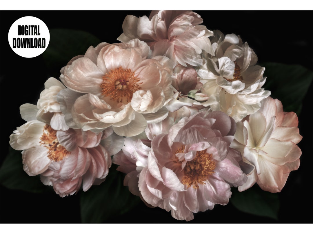 Midnight Hour Floral, Flowers, Floral, Bouquet, Pink, Buff, Decoupage ...
